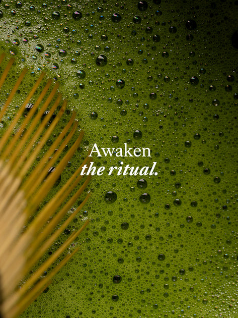 Matcha Powder Starter Set – EQUA - Sustainable Water Bottles